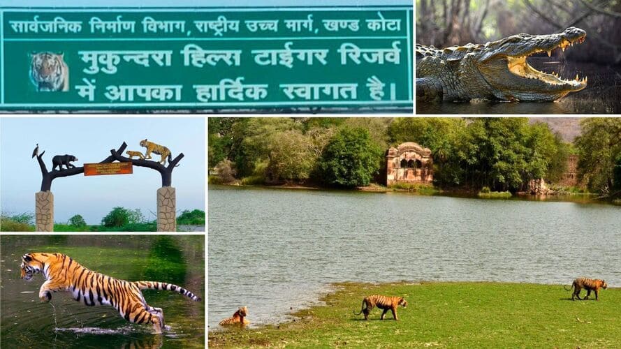 20 Best Tourist Places in Kota You Must Visit